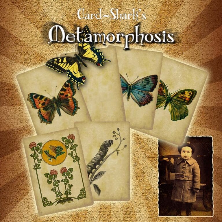 Metamorphosis - Card-Shark